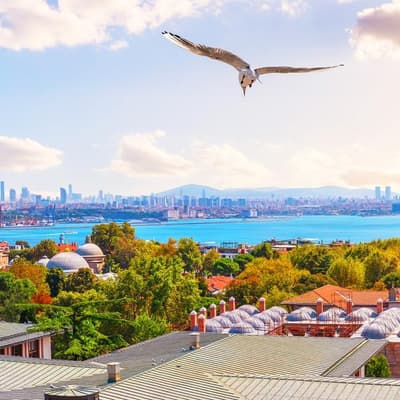 Mapaplus Dynamics: Istanbul