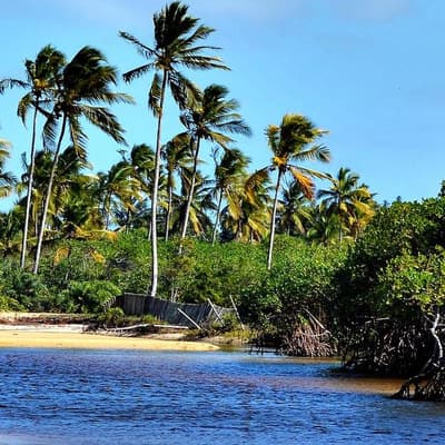 Principios Tour Operator: Porto Seguro