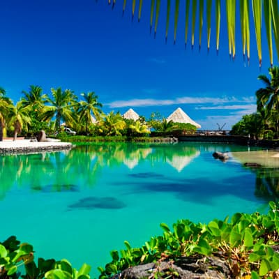 Maldive from 2.893
