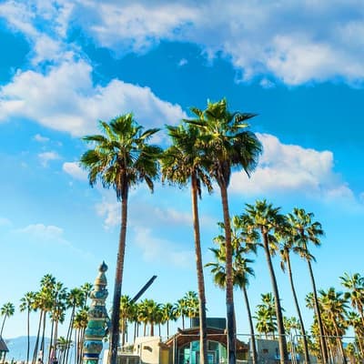 Mapaplus Dynamics: Beverly Hills