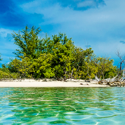 Via Club: Islas Bimini