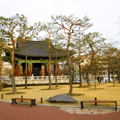 Baku Holiday Travel: Holidays, Cheap Flights, Hotels 2025: Daegu