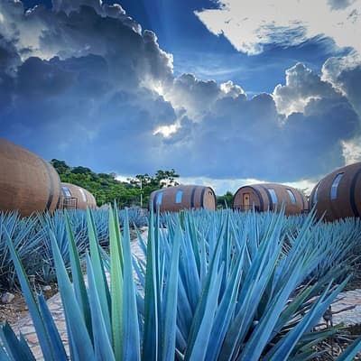 4 Días de lujo en las Barricas de Tequila, Mexico desde 7,233 MXN