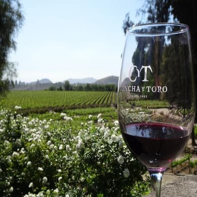 Ruta del vino en Concha y Toro - Santiago de Chile from US$52