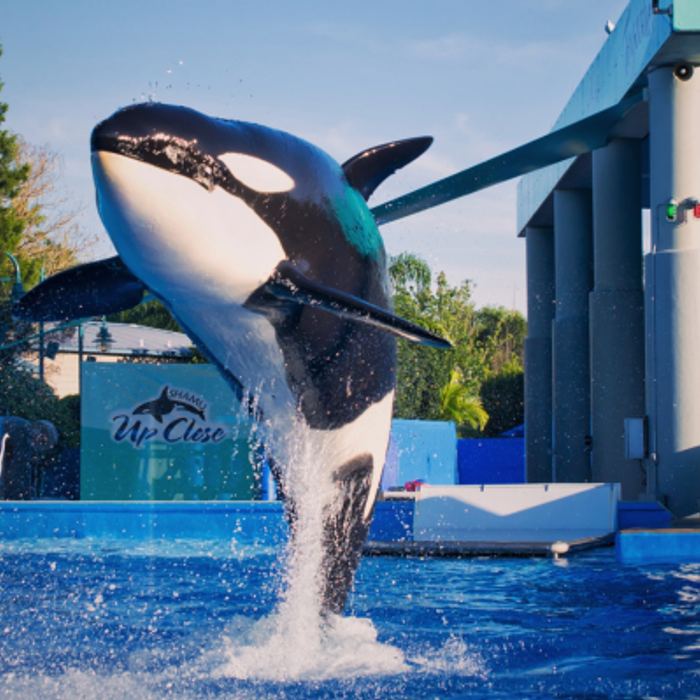 AVENTURA EN FAMILIA EN ORLANDO CON UNIVERSAL, SEAWORLD Y TOUR DE ...
