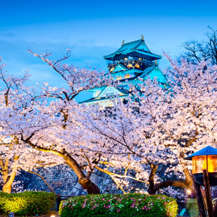 Explorando Japón desde 61,683 MXN