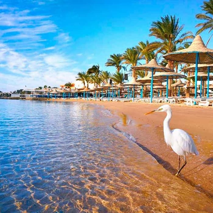 ALL OF EGYPT AND THE RED SEA - HURGHADA SUMMER 2026 откуда 1.117