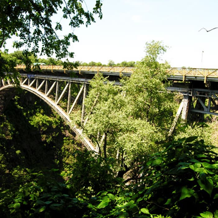 Victoria falls, Zimbabwe desde 90.786 MT