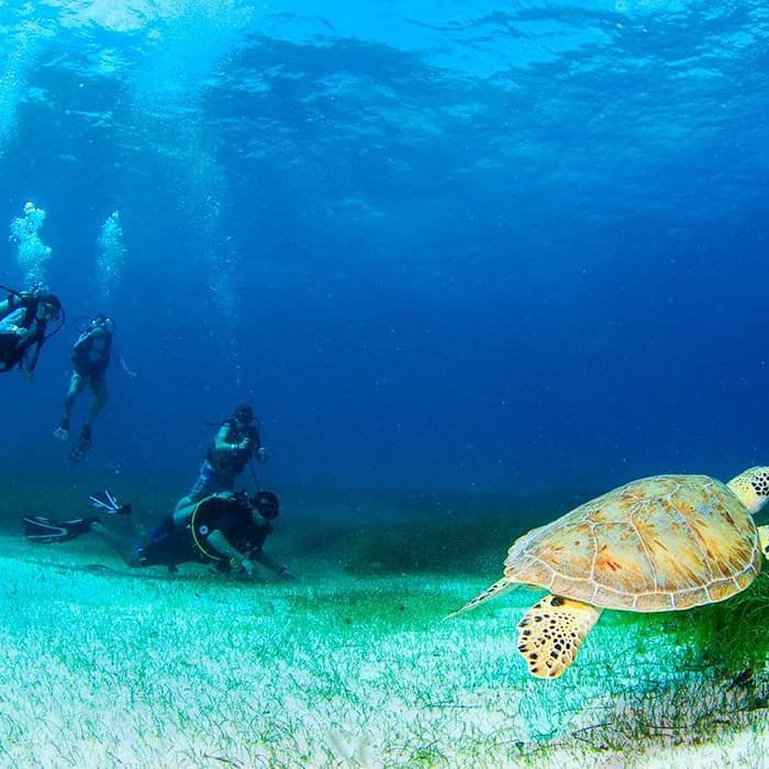 Paquete a Playa del Carmen | Sandos Caracol 4* from US$2,134