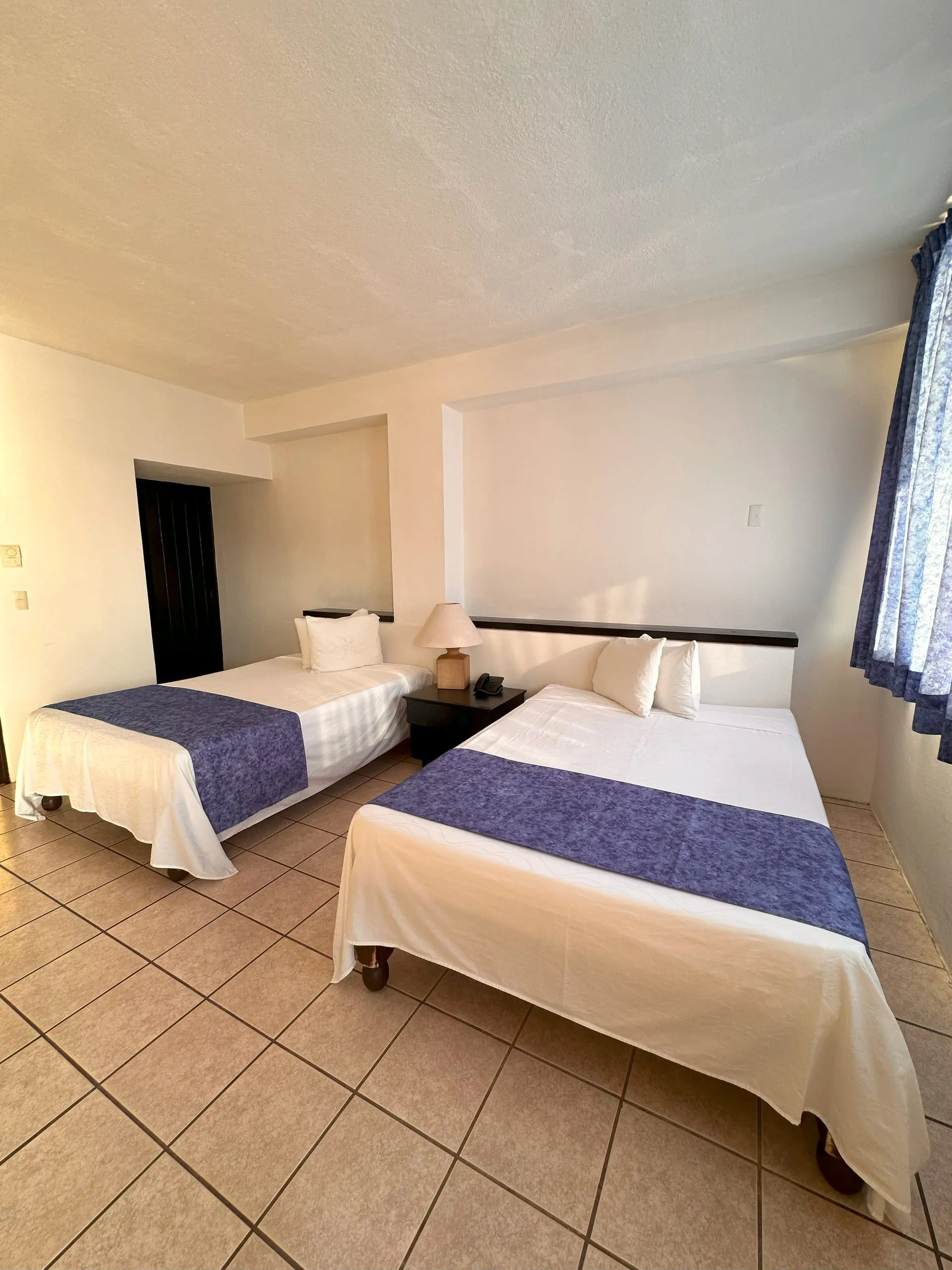 Hotel Delfin PV Beach Resort - Viajes El Corte Inglés México