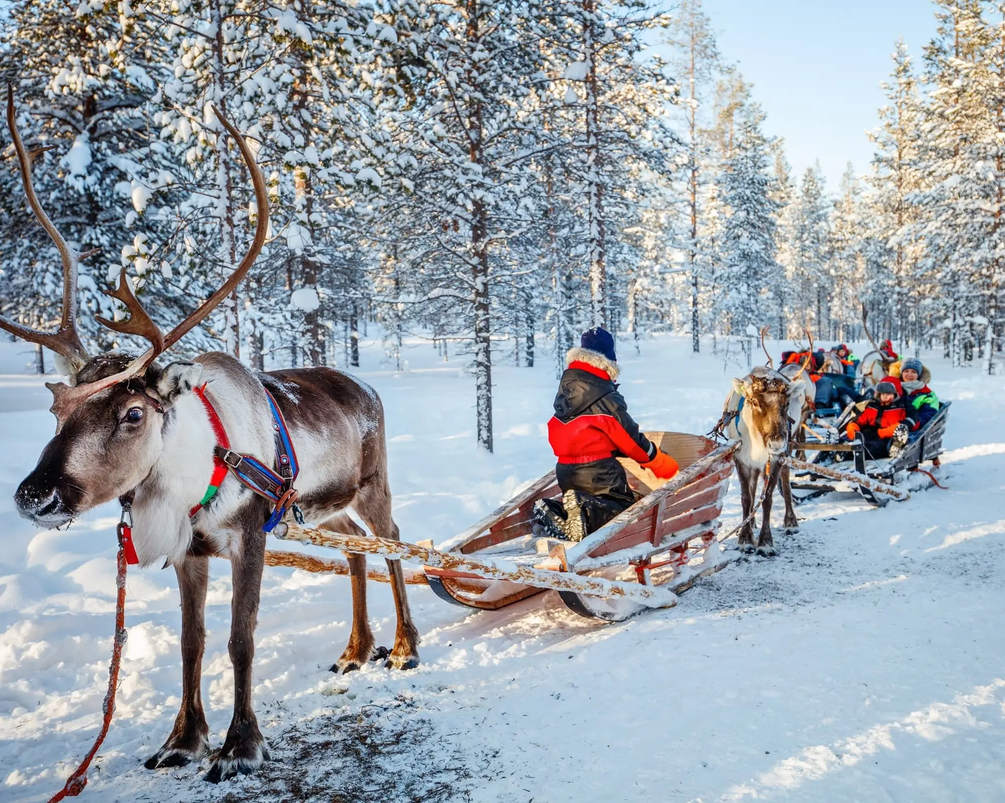 Lapland | December 8th in Ylläs from 3.115