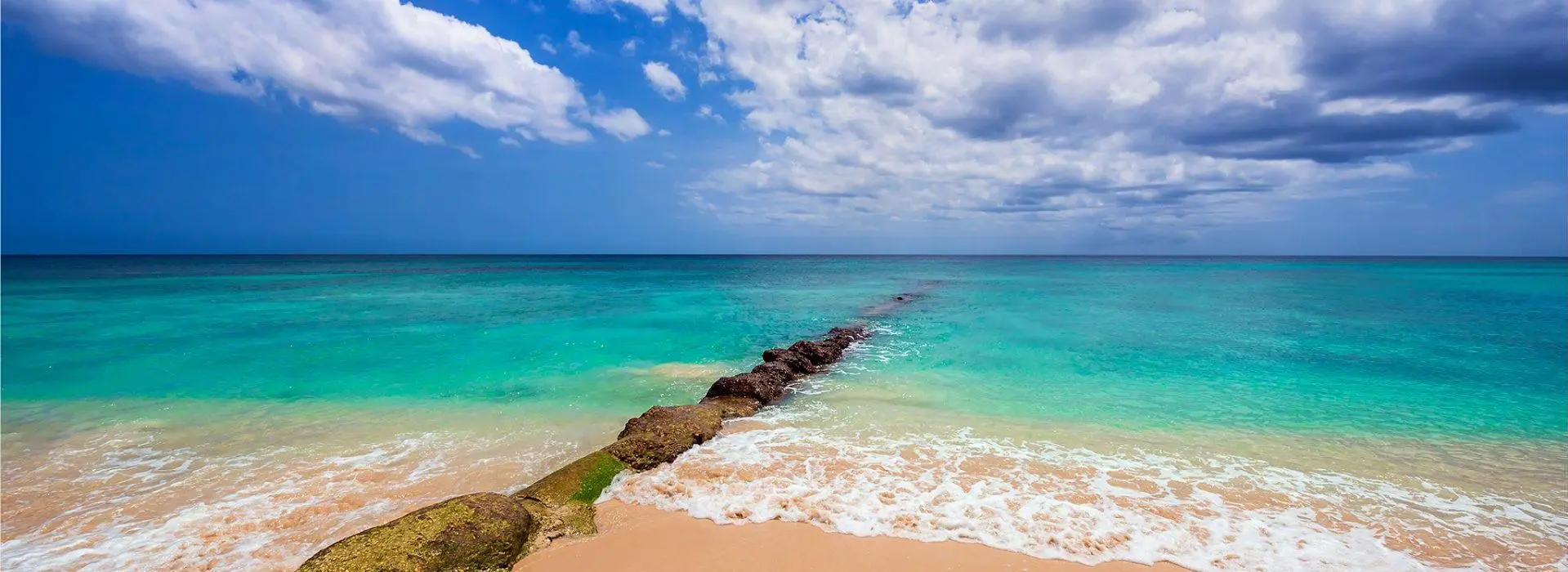 AIO VACANZE TOUR OPERATOR