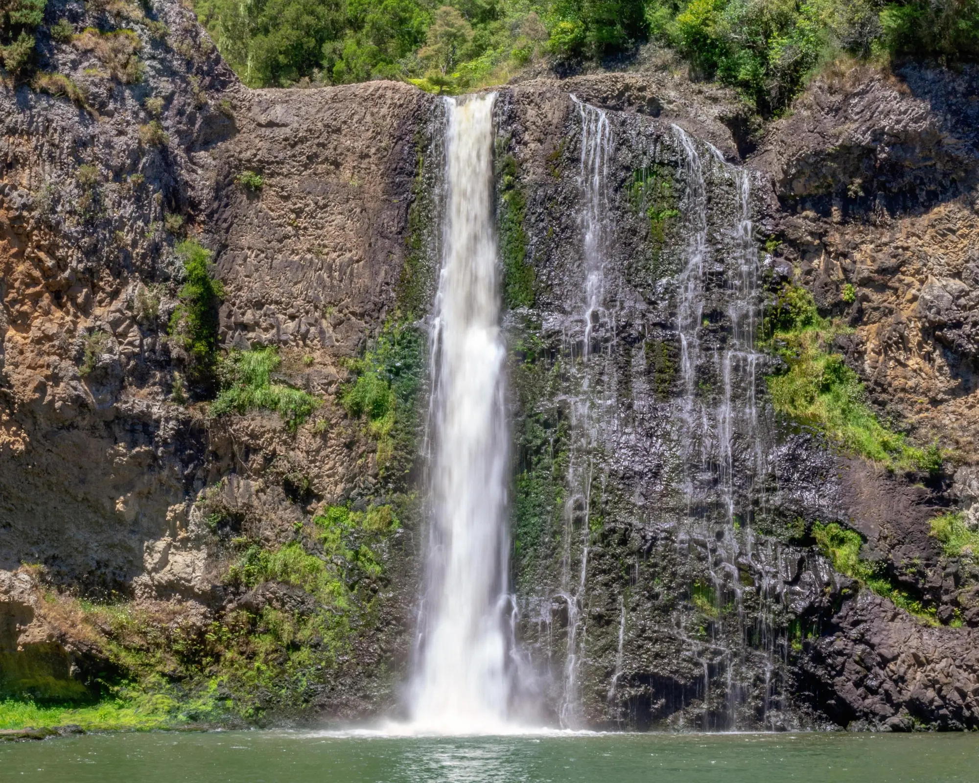 utc.travel: Auckland region