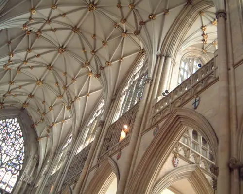 Mega Travel Perú: York