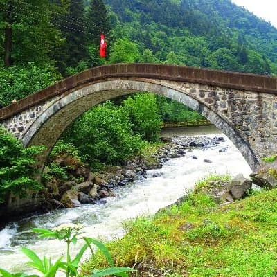 Toghi: Rize