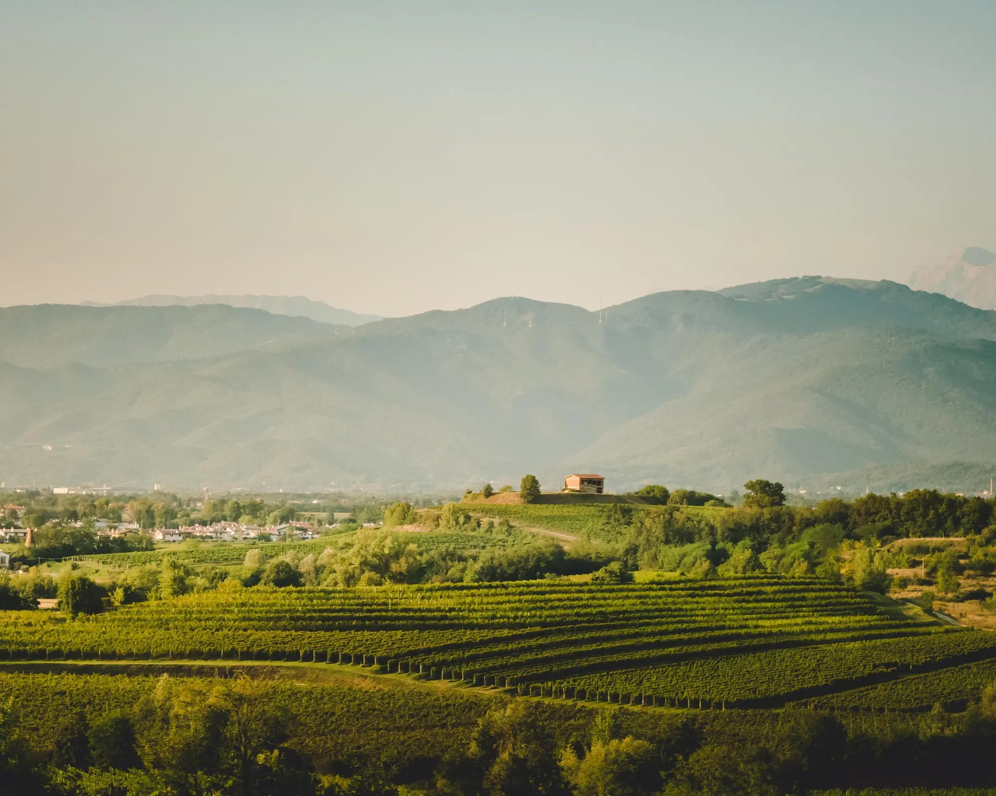 Premium Incoming: Marcon