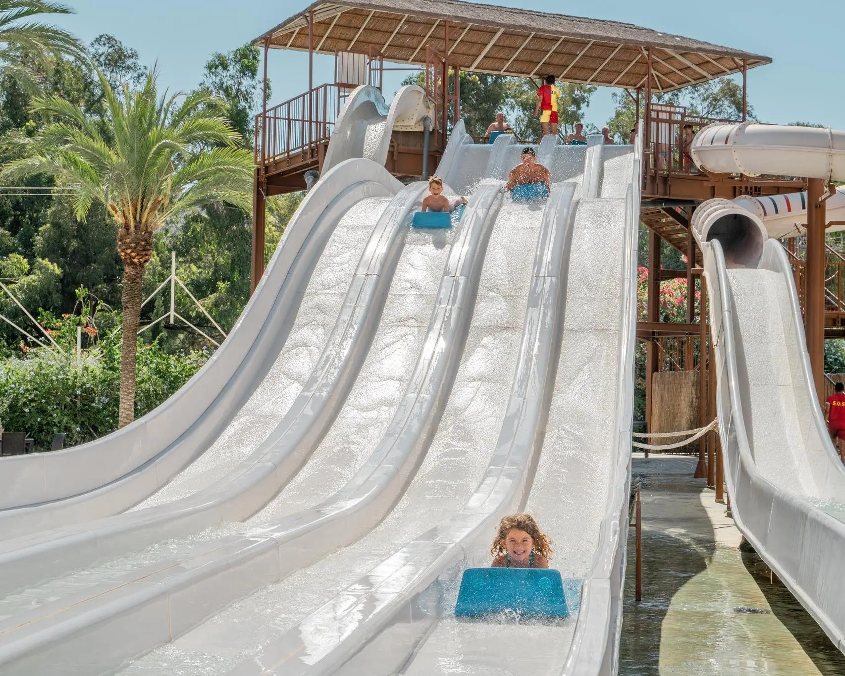 Magic Tropical Splash - Transport, flight and hotel | Magic Costa ...