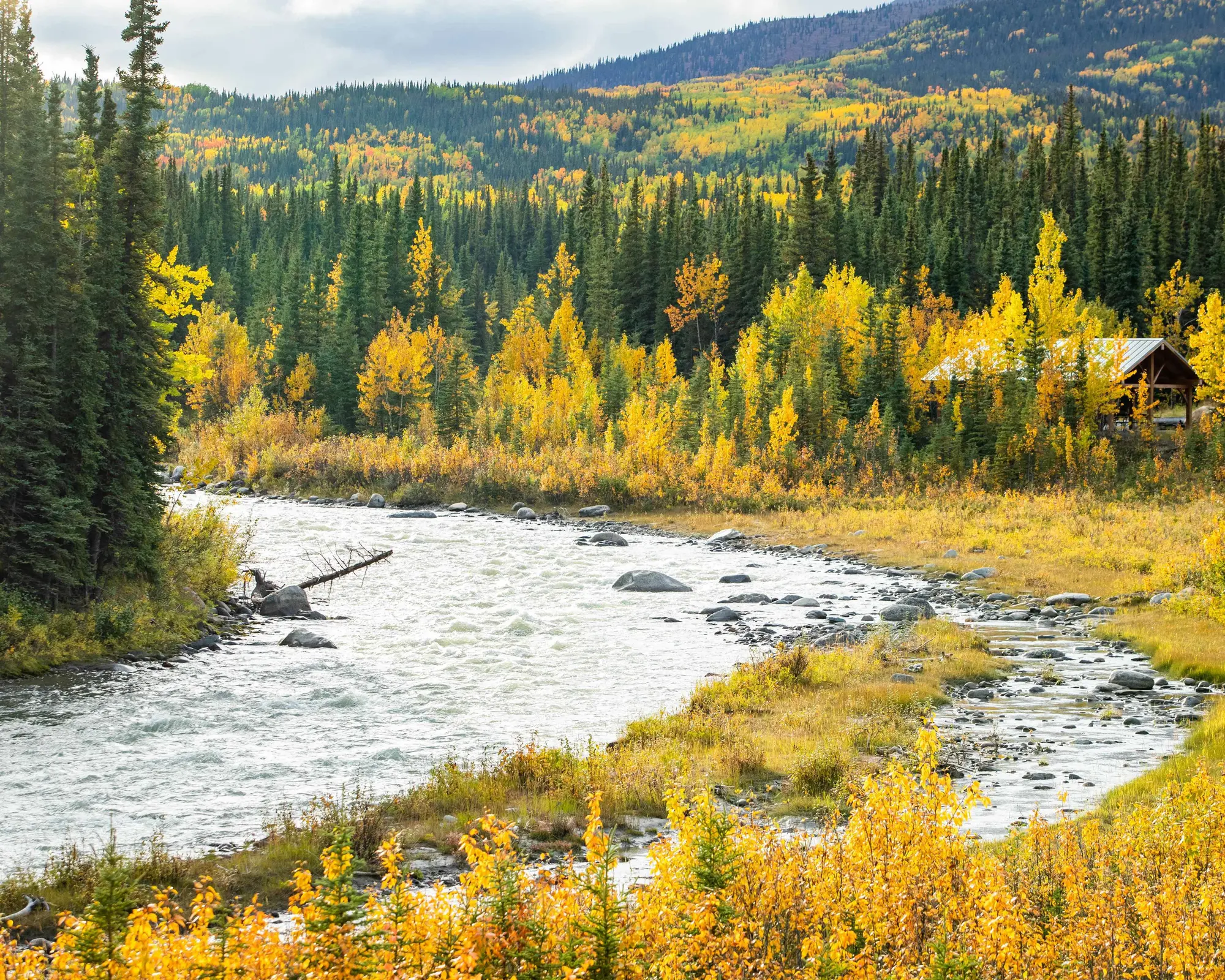 Toghi: Livengood AK