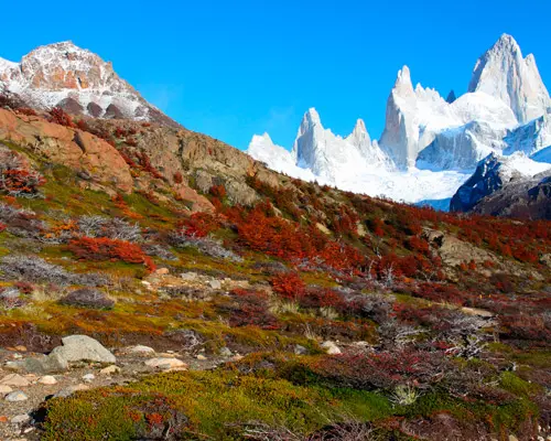 Turaser: El Calafate